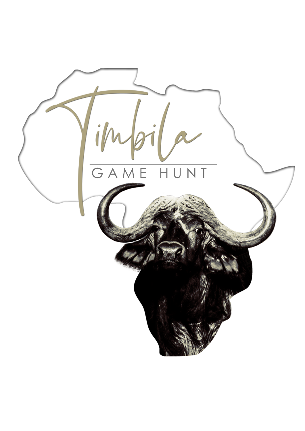 Luxury Safaris in South Africa | Timbila Game Lodge